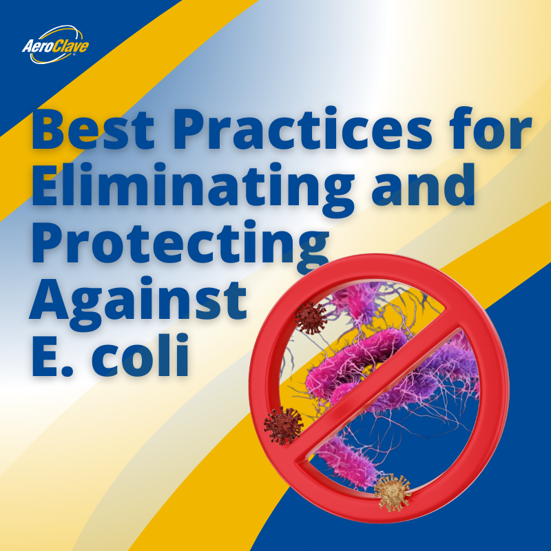 Understanding E. Coli Outbreaks: Risks and Prevention