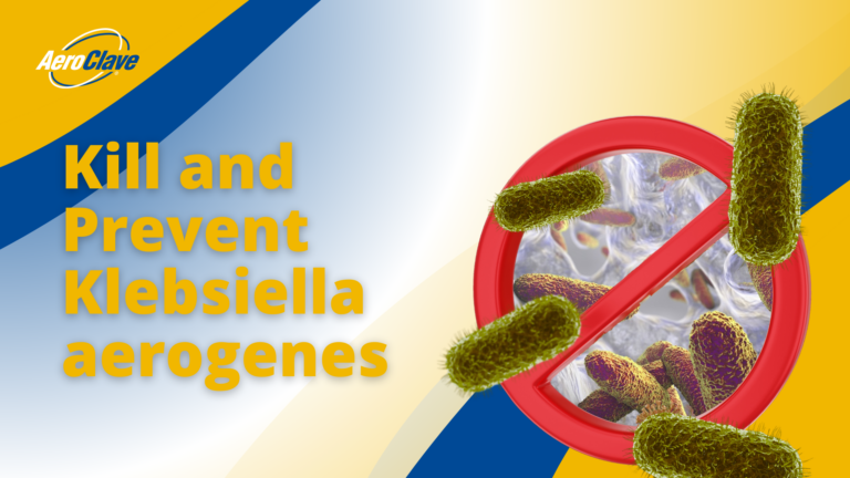 Klebsiella Aerogenes: A Guide to Prevention and Disinfection