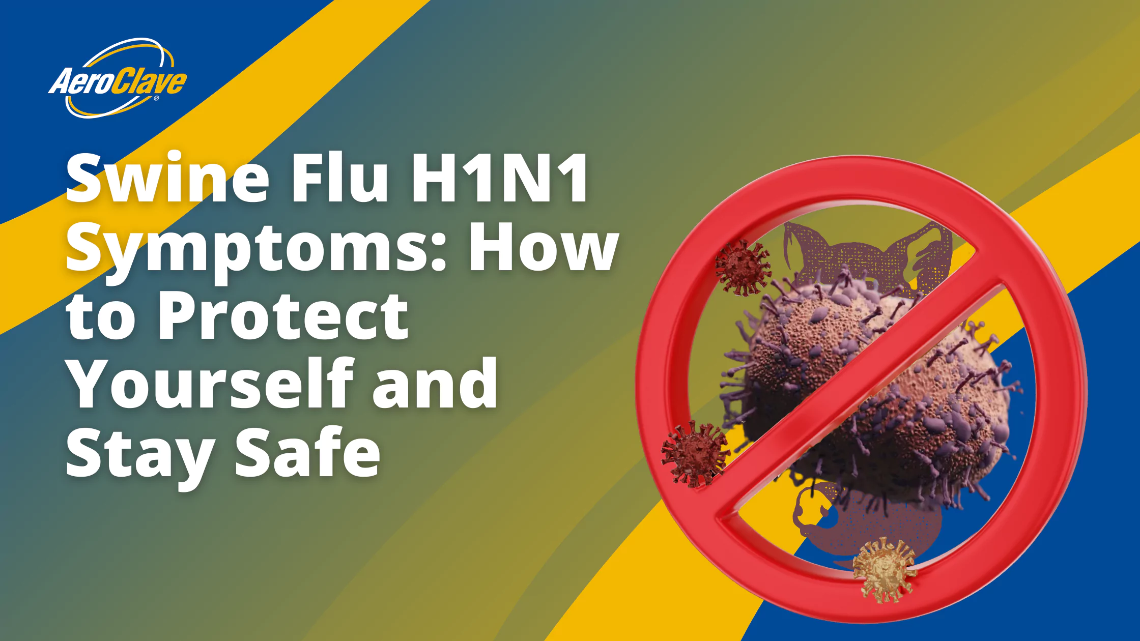 Understanding Swine Flu H1N1 Symptoms and Prevention