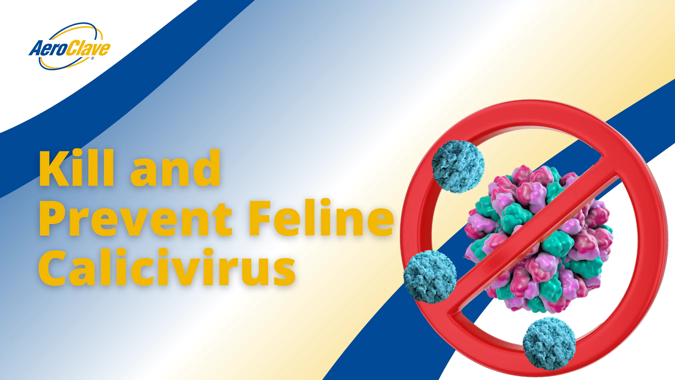 Feline Calicivirus How to Protect Your Cats