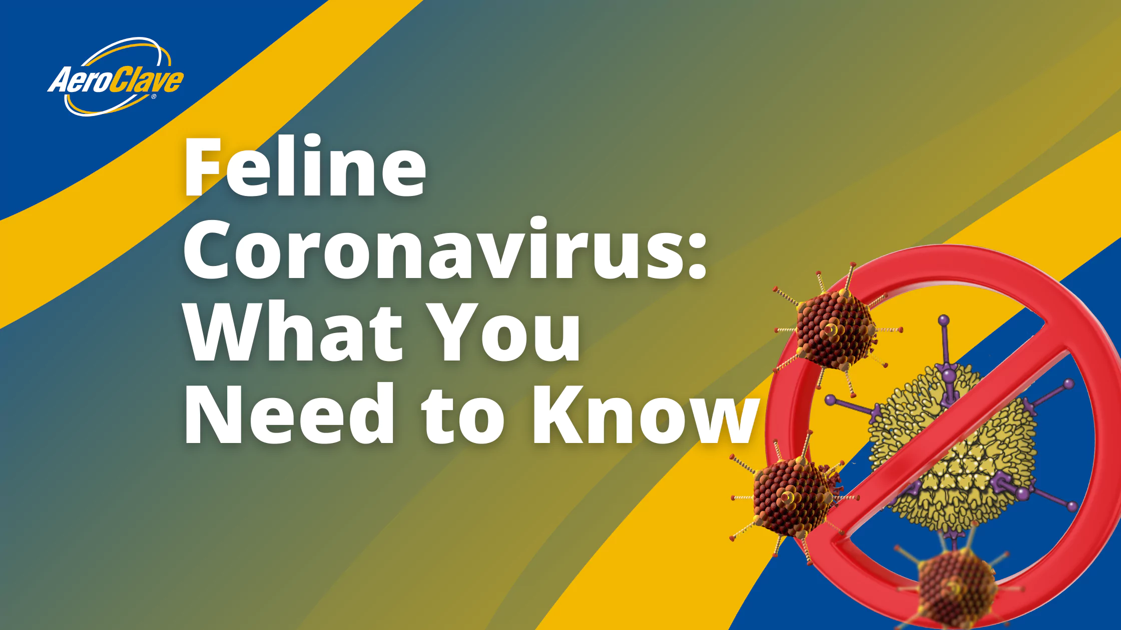 Feline Coronavirus: Understanding Symptoms and Prevention