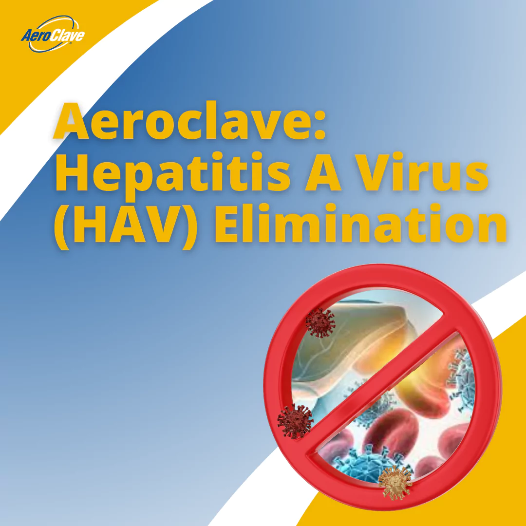 Hepatitis A: Understanding the Contagious Liver Infection