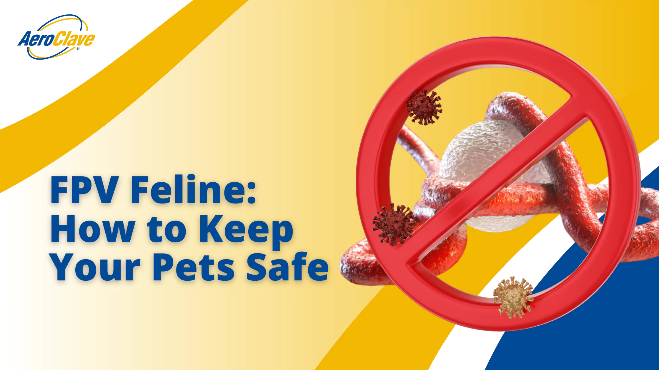 FPV Feline: Prevention Tips for Cat Owners