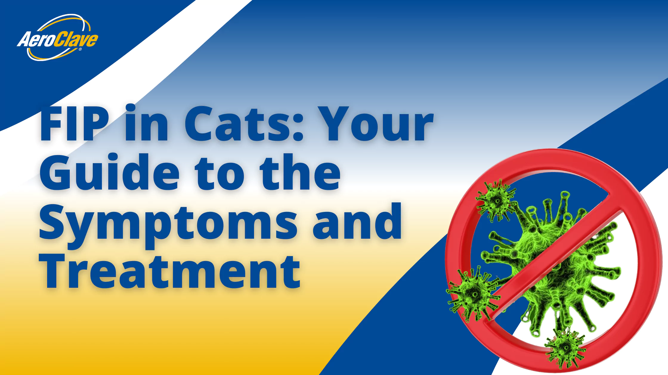 FIP in Cats: Understanding the Disease and Symptoms