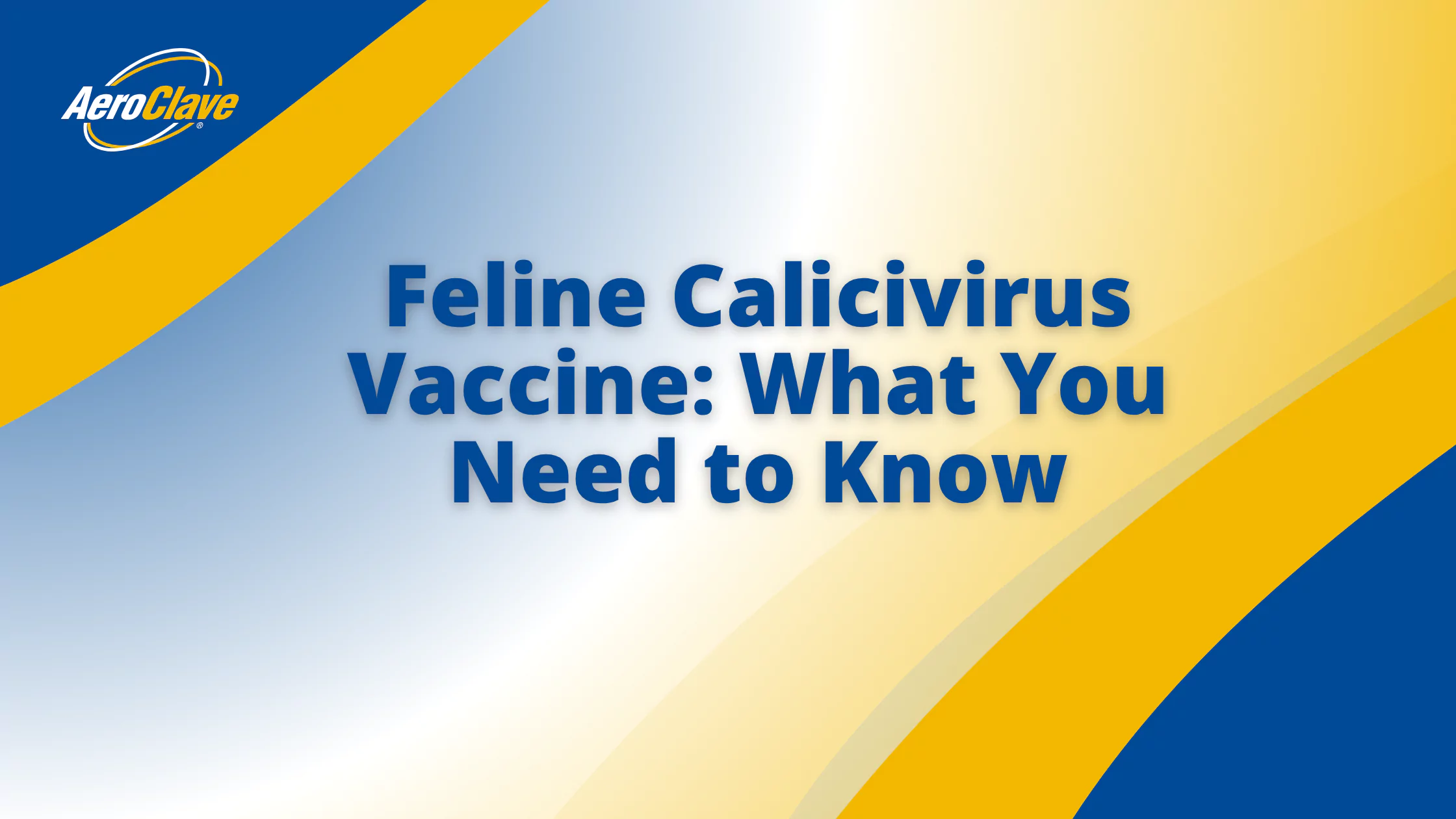 Feline Calicivirus Vaccine: What You Need to Know