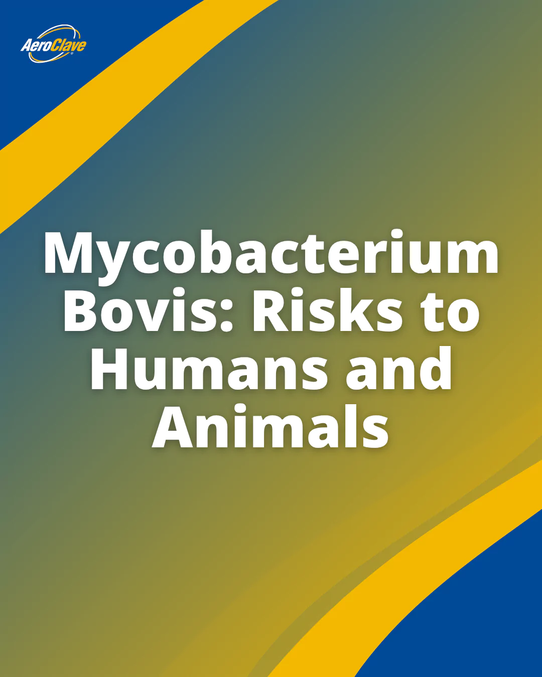 Mycobacterium Bovis: Risks to Humans and Animals
